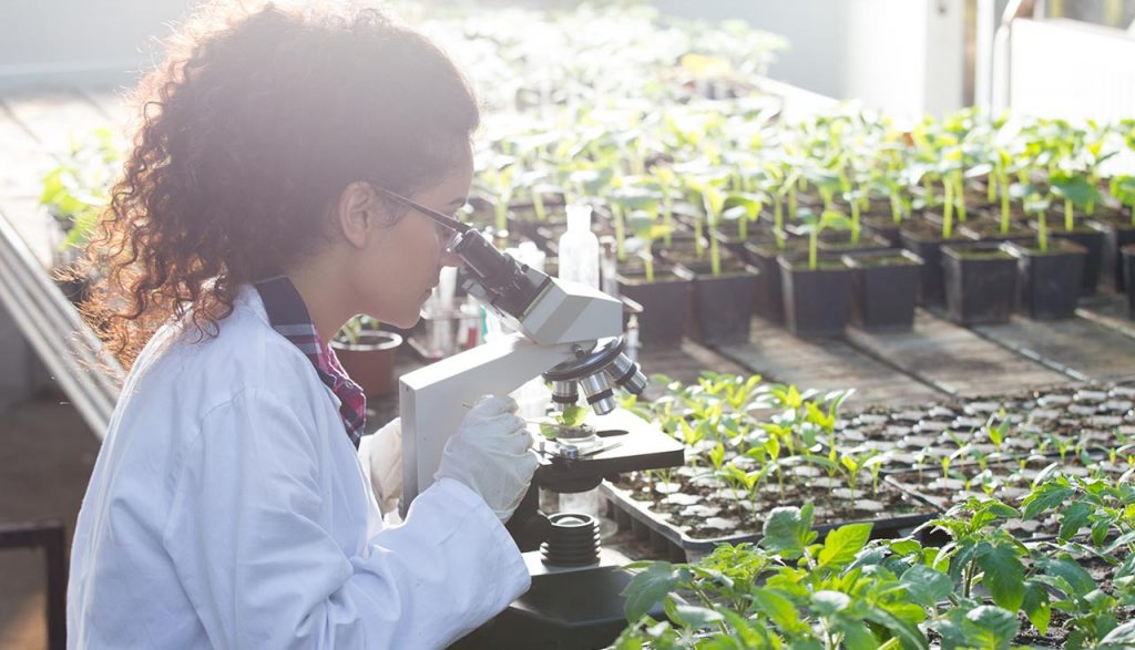 Engaging Biology Research Topics of 2023